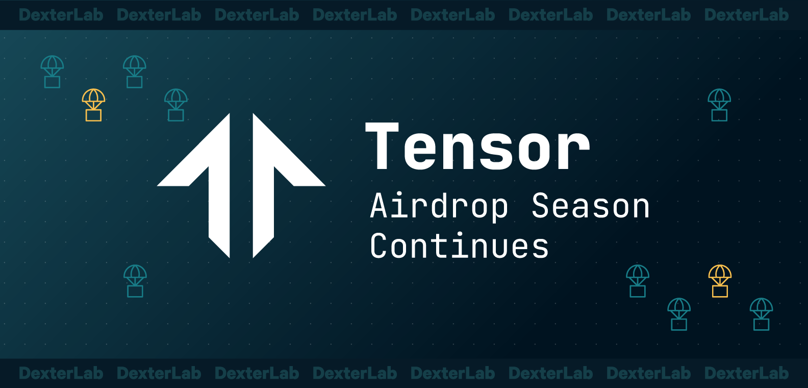 Tensor: Airdrop Season Continues | DexterLab