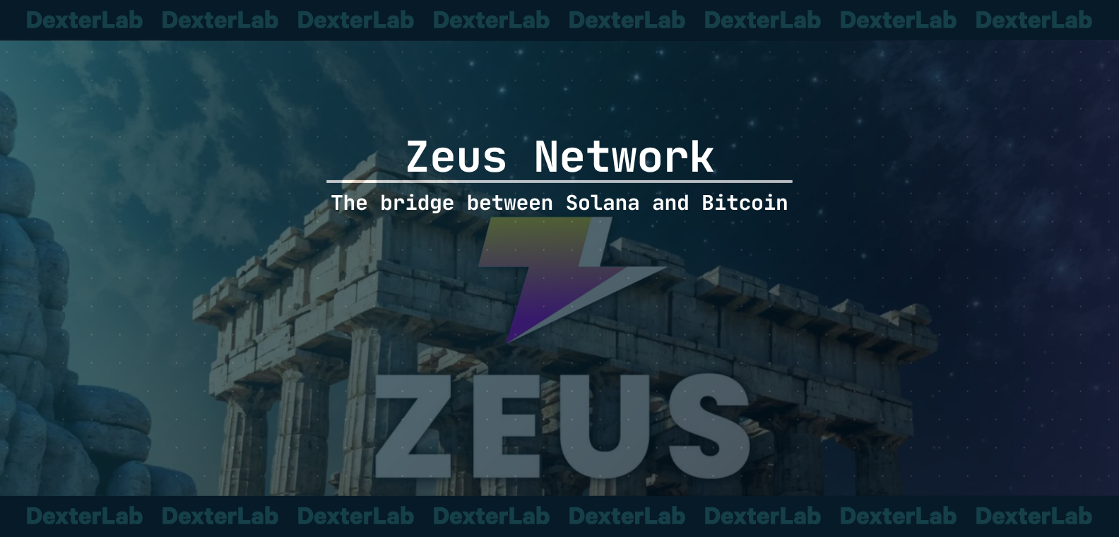 What is Zeus Network? | DexterLab